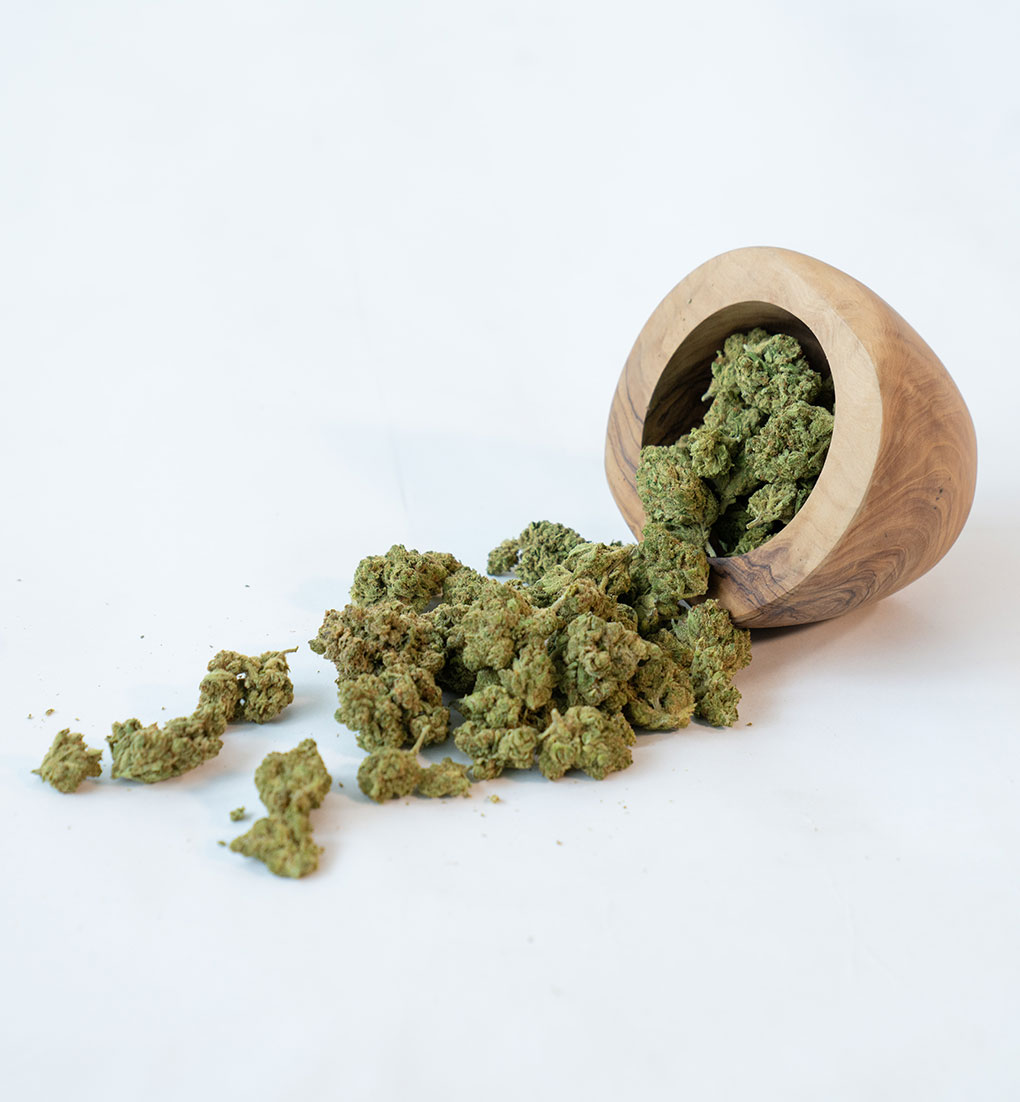 Green Dream – Premier Health New Zealand